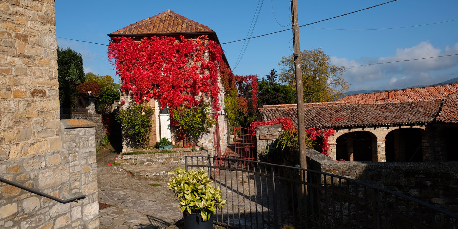 Incontro della prima domenica del mese con ANGELA VOLPINI – 2 Aprile 2023 – Fondazione Nova Cana